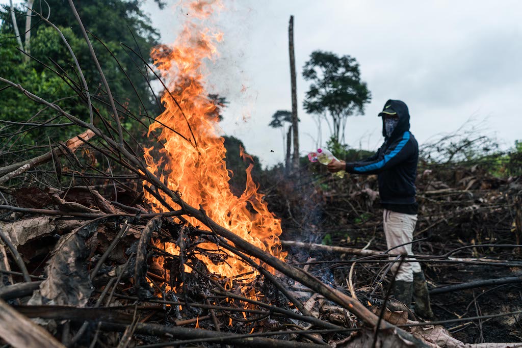 The high price of peace in Colombia: deforestation in the Amazon - LifeGate