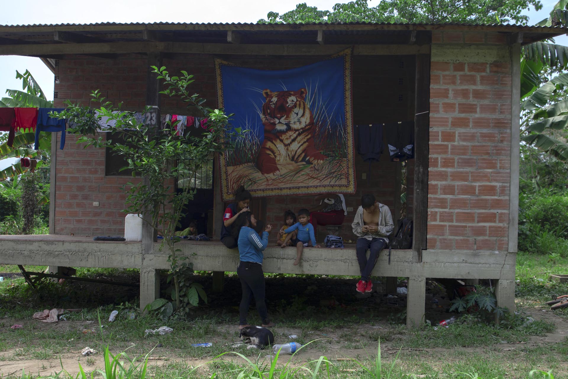 The Yuqui people of Bolivia fight for survival against logging and ...