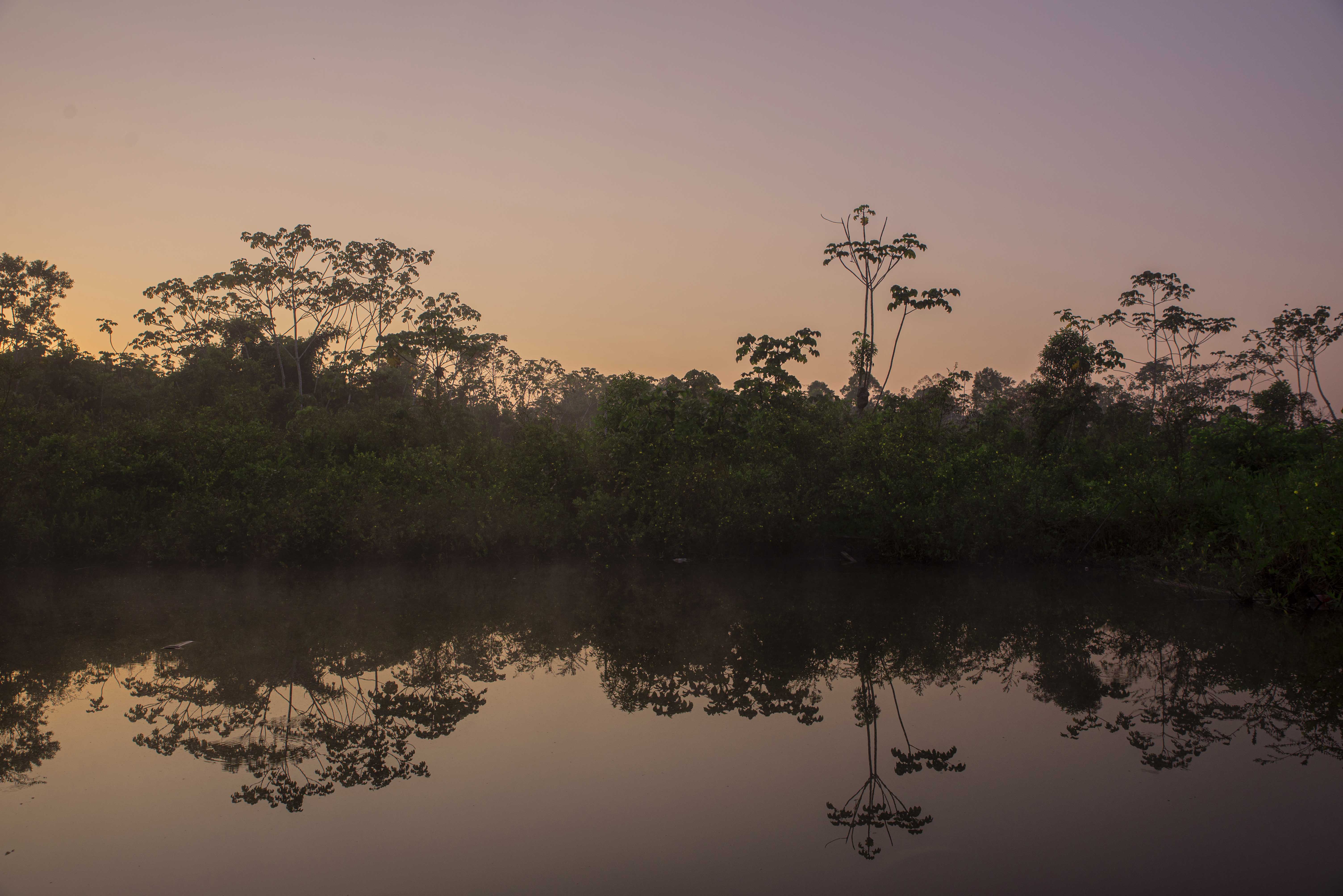 The Yuqui people of Bolivia fight for survival against logging and ...