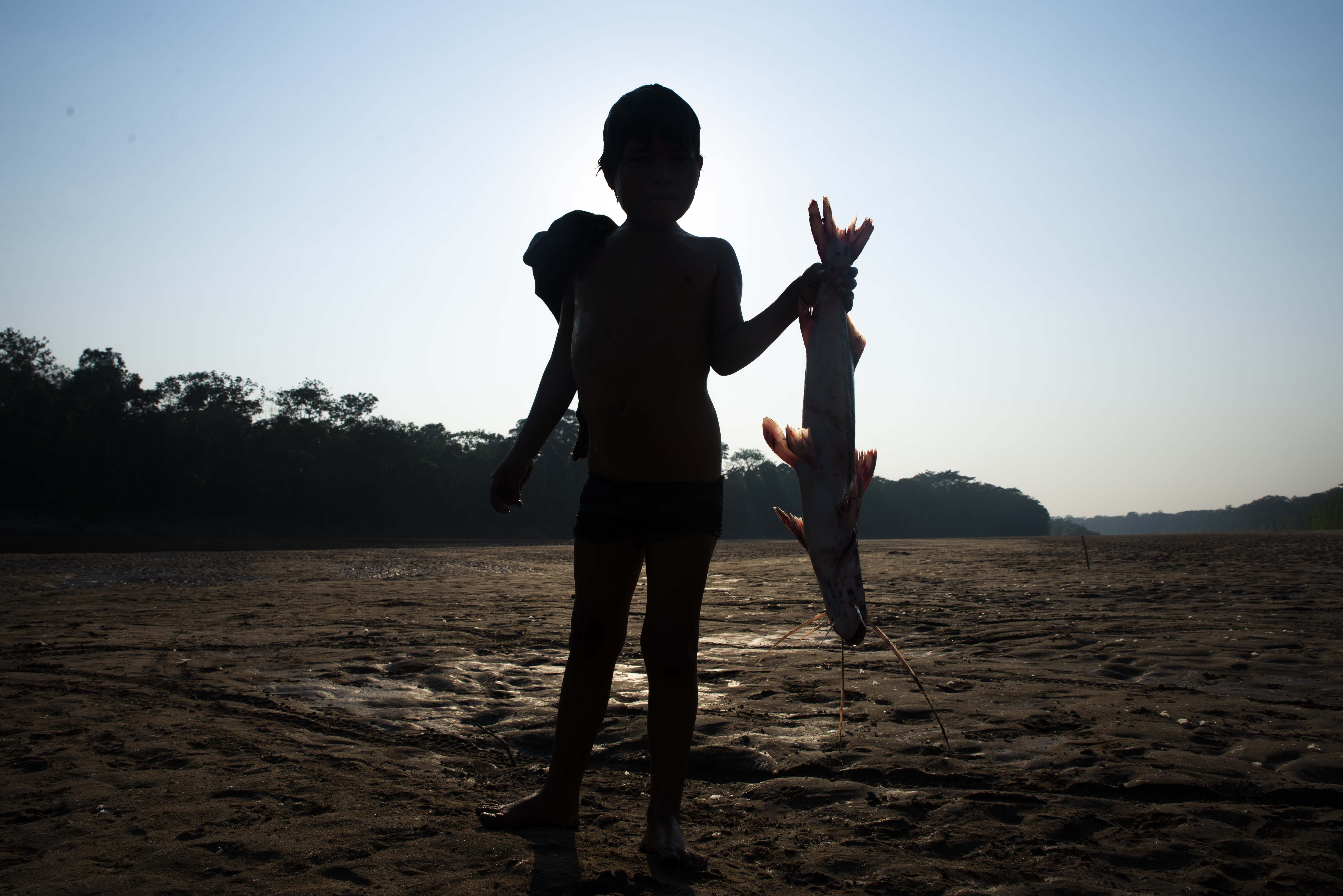 The Yuqui people of Bolivia fight for survival against logging and ...