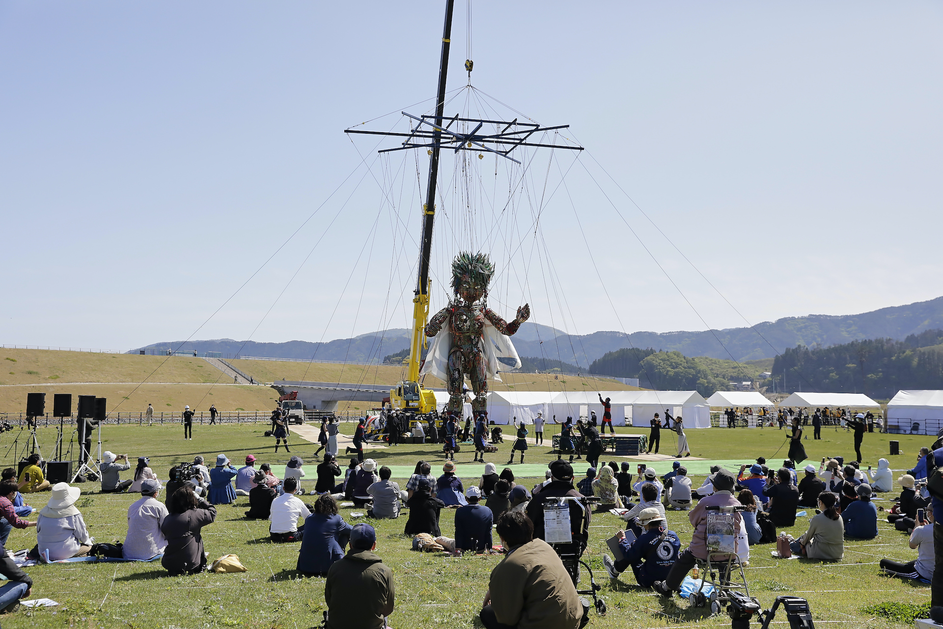 Story of a pine tree that survived a tsunami - LifeGate