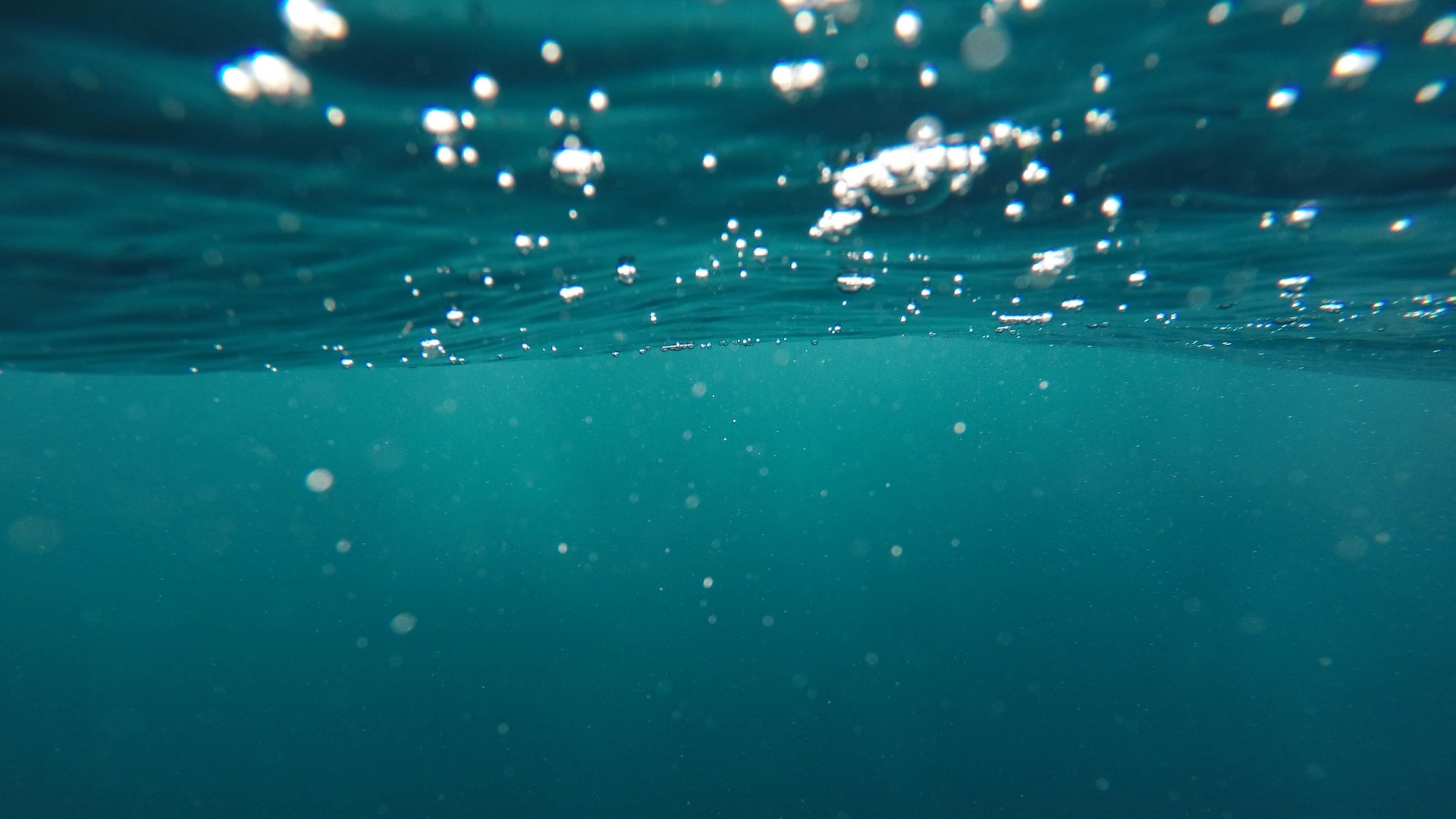 Historic High Seas Treaty signed to protect the world's oceans - LifeGate
