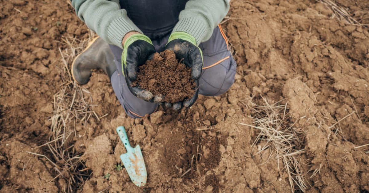 EU soil monitoring directive approved: what happens next - LifeGate