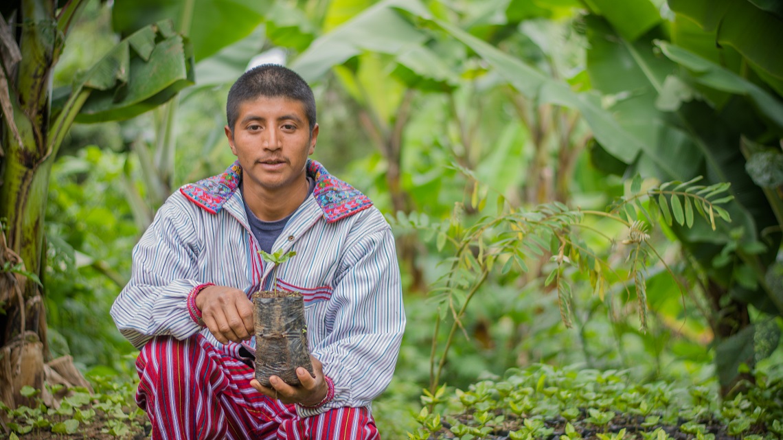 Byron Jerónimo. How a small-scale Guatemalan farmer is building a ...