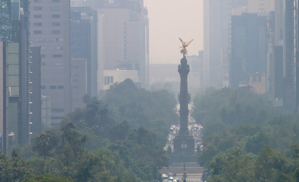 Mexico will plant 18 million trees to fight air pollution - LifeGate