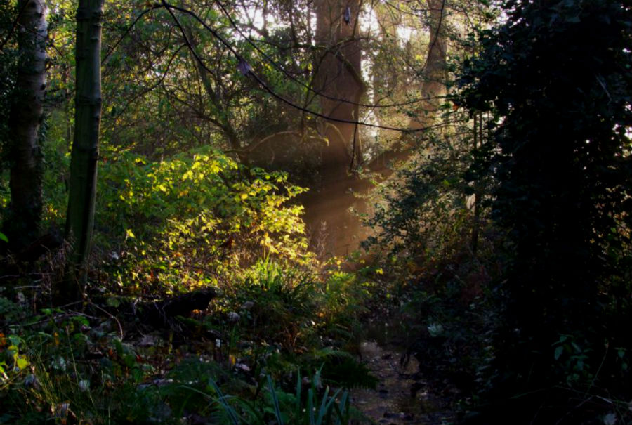 Itinerary. 5 literary destinations from which to draw inspiration ...