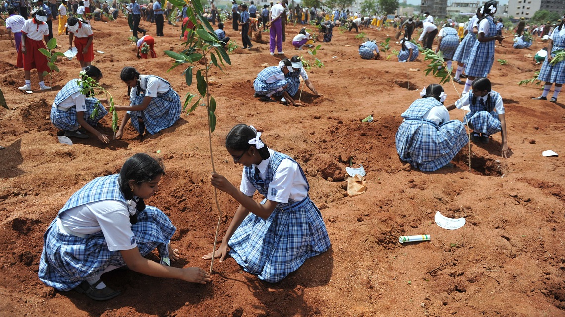 India Planted 50 Million Trees In One Day LifeGate