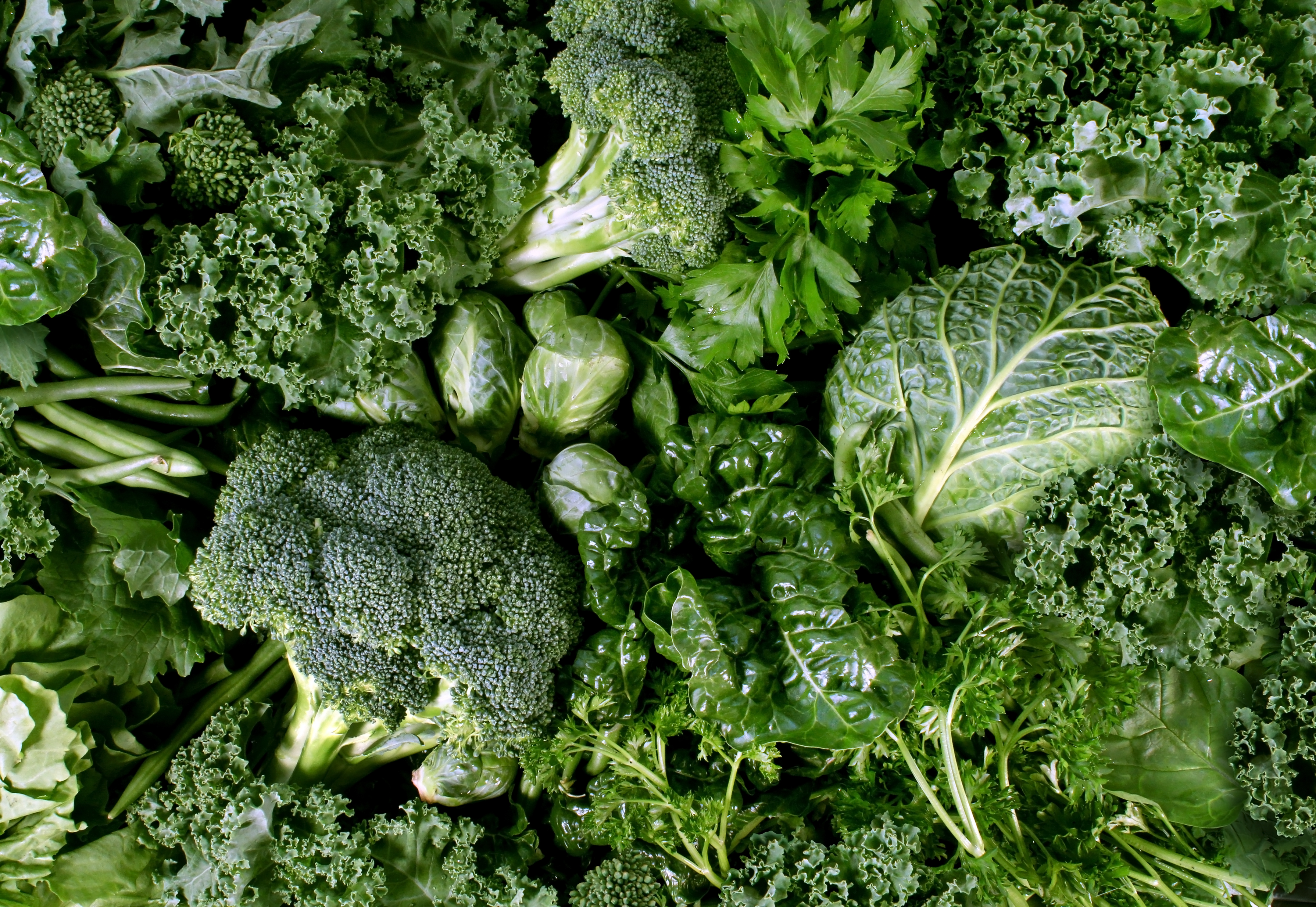 Why It Is So Important To Eat Food Rich In Chlorophyll LifeGate